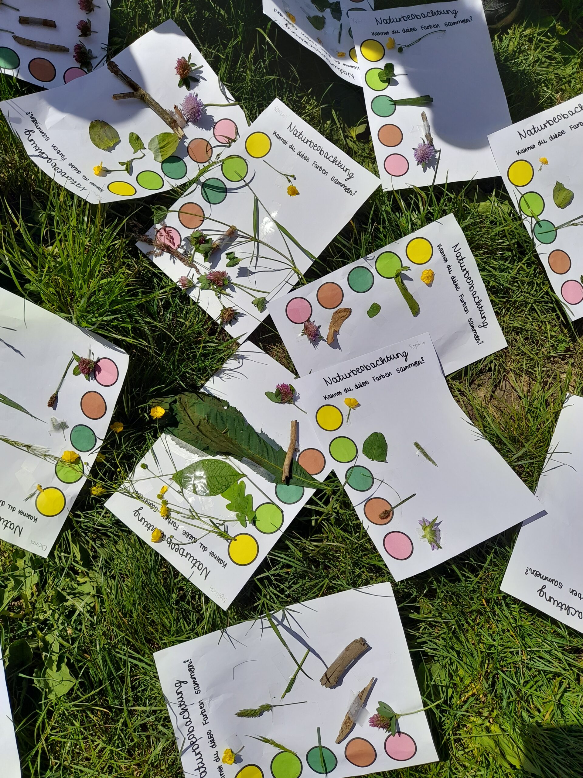 Farben entdecken in der Natur - Kinderheim Friedberg